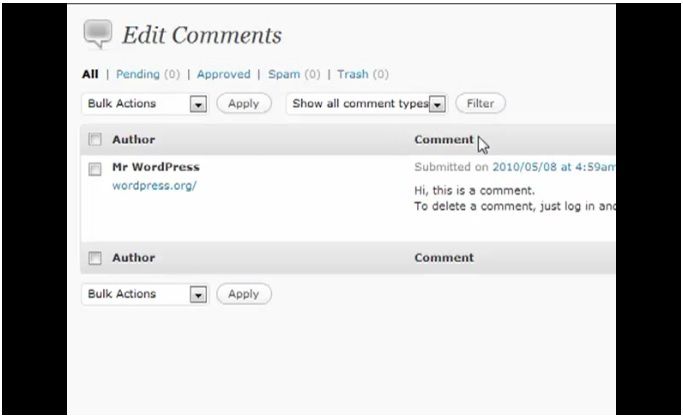 Delete Comment Spam WordPress