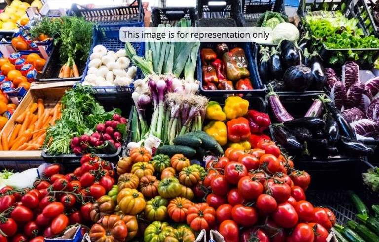 Green Marketing Examples: 10 Brands Changing The Sustainability Game