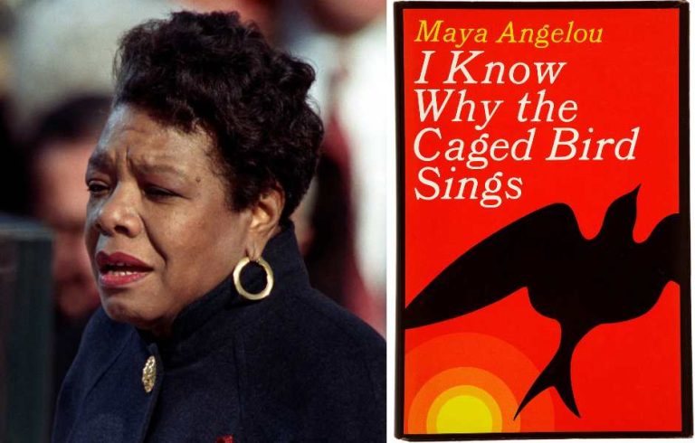 35 Best Author Writing Style Examples For Writing Inspiration